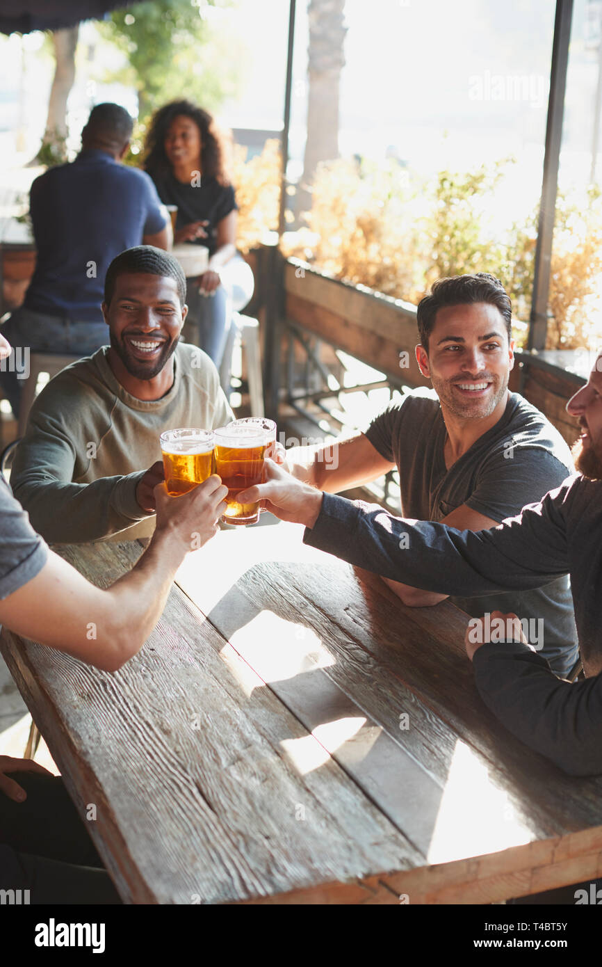 Group Of Male Friends Meeting In Sports Bar Making Toast Together Stock ...