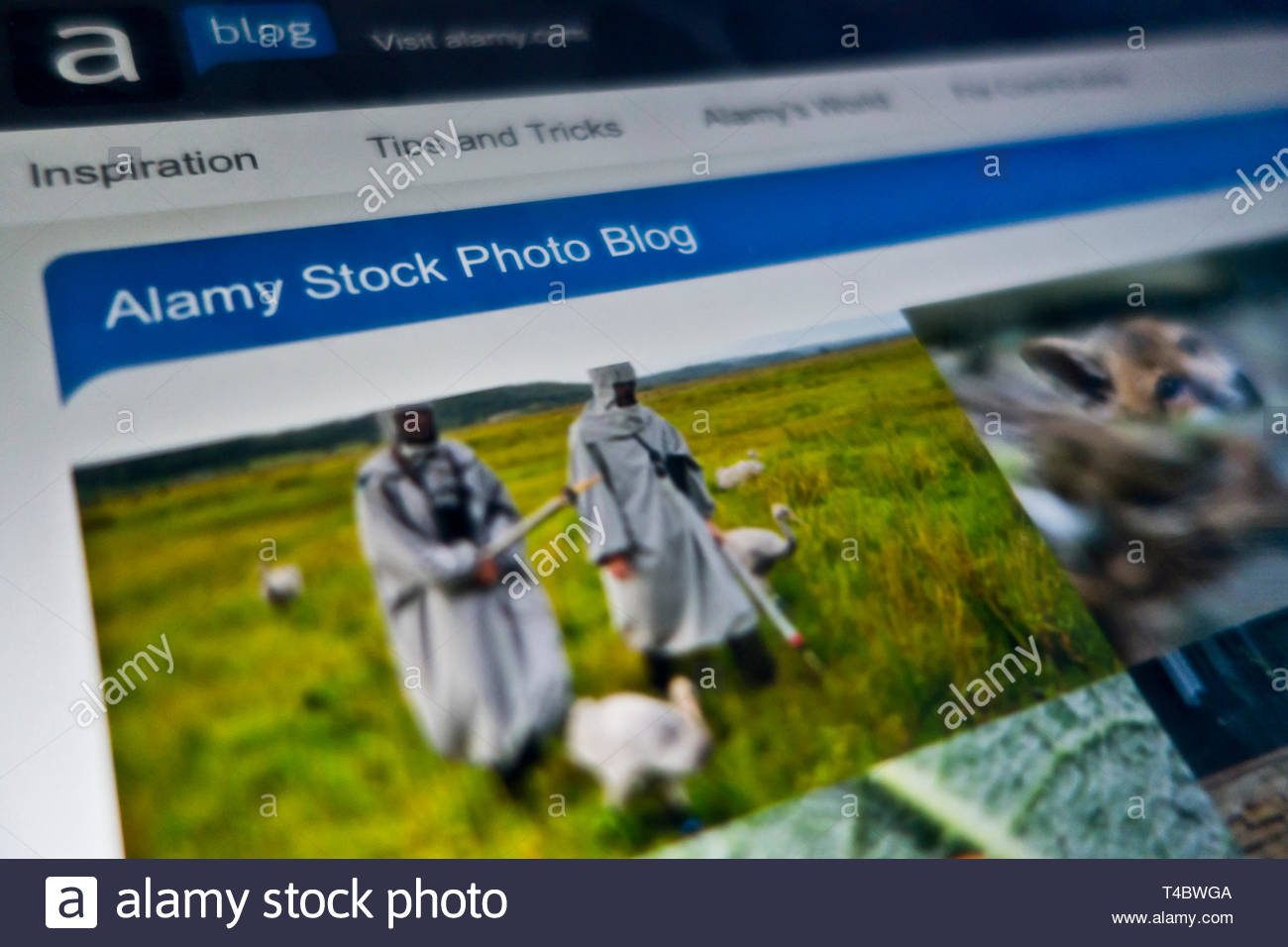 Alamy Website High Resolution Stock Photography and Images - Alamy