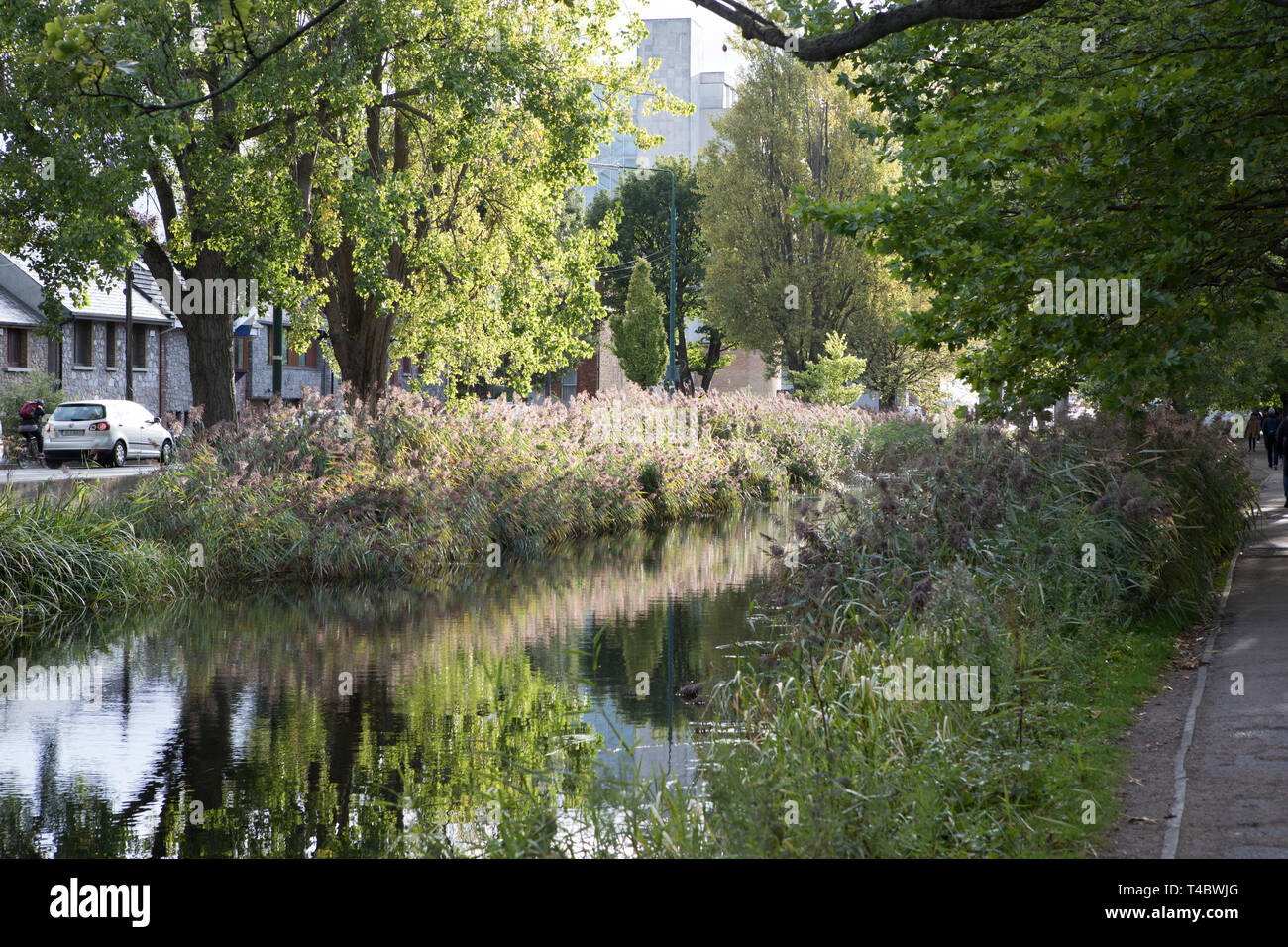 Dublins grand canal hi-res stock photography and images - Alamy