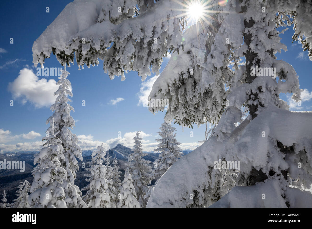 Snow icon hi-res stock photography and images - Alamy
