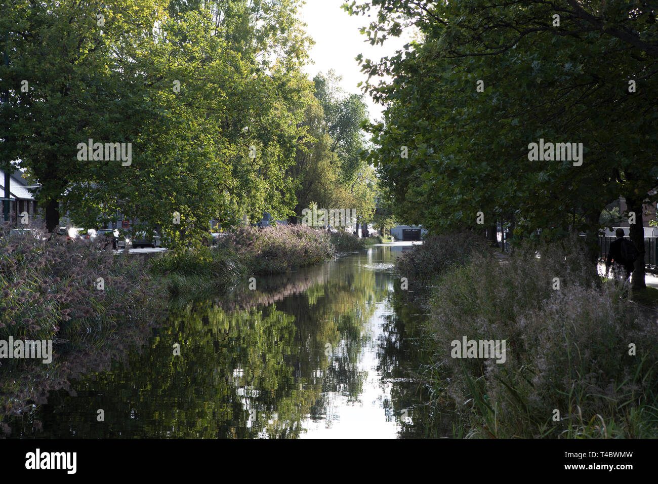 Dublin's Grand Canal, Ireland Stock Photo - Alamy