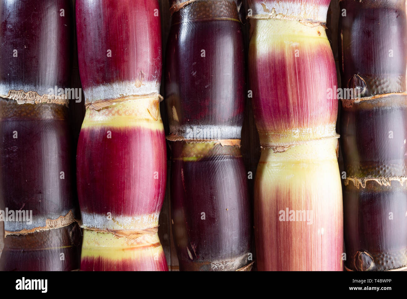 pile of sugar cane on wooden background, image Stock Photo - Alamy