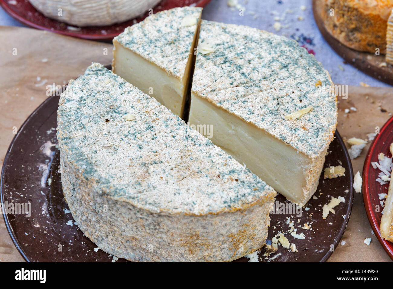 sheep and goat organic cheese closeup outdoor Stock Photo - Alamy