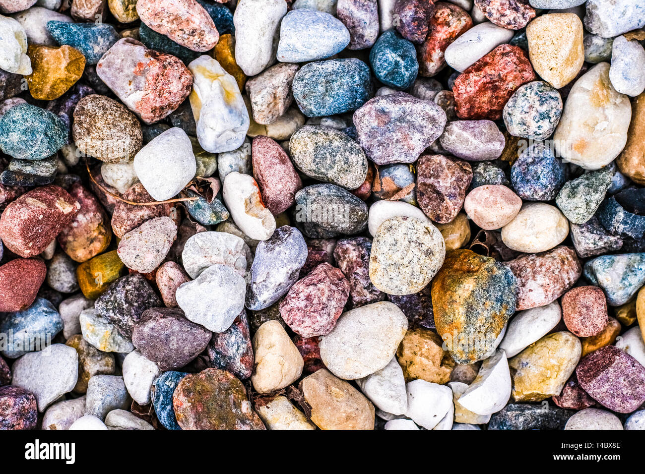 Landscape architecture, interior design and nature elements concept ...