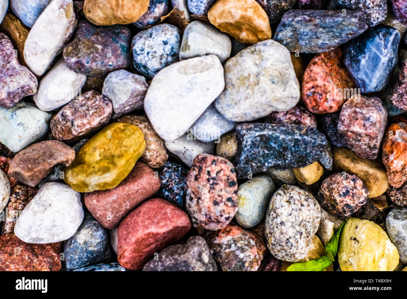 Landscape architecture, interior design and nature elements concept ...