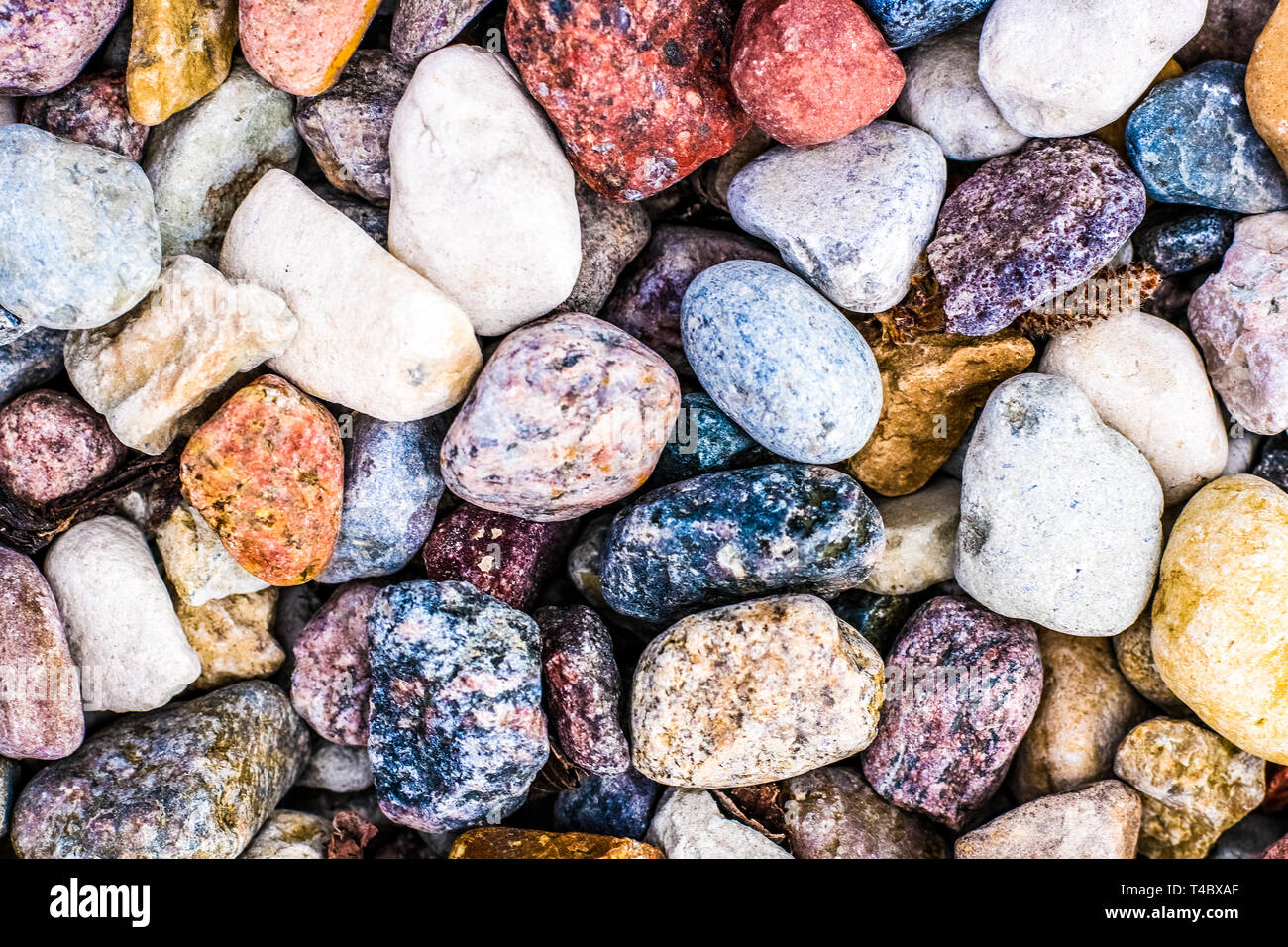 Landscape architecture, interior design and nature elements concept ...