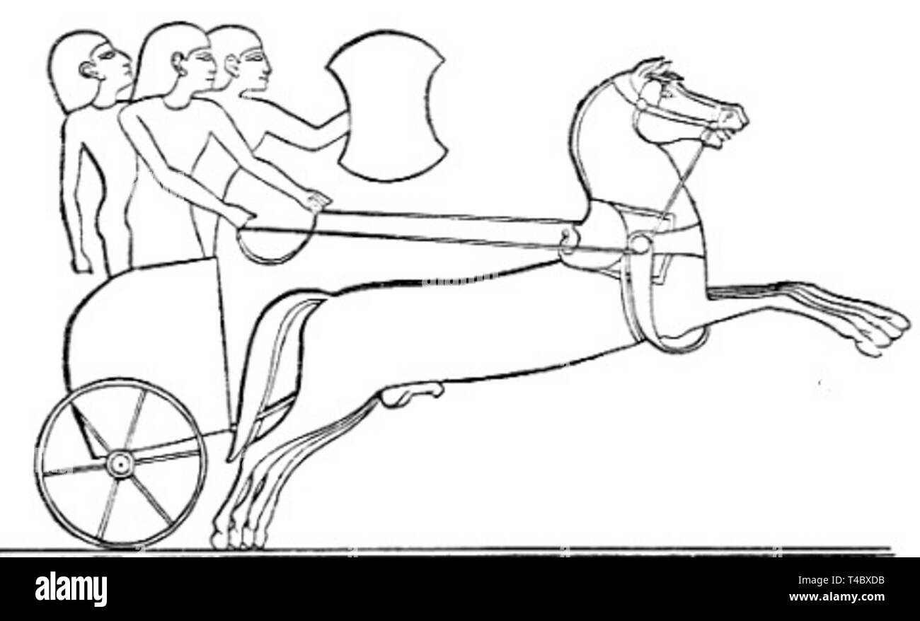 Ancient Egyptian Chariot Black and White Stock Photos & Images - Alamy
