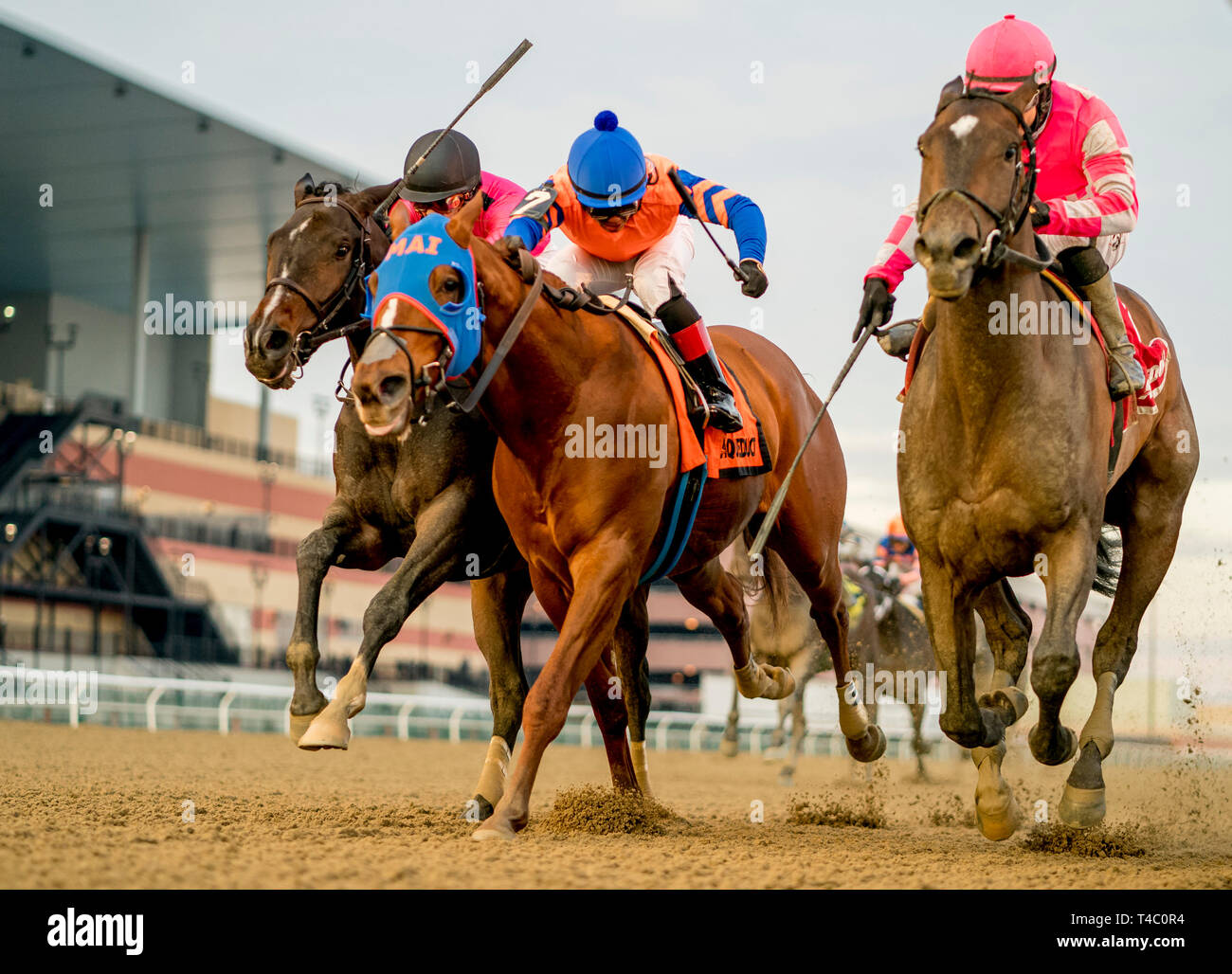 Aqueduct race track hi-res stock photography and images - Alamy