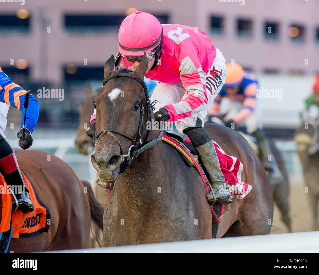 Aqueduct race track hi-res stock photography and images - Alamy