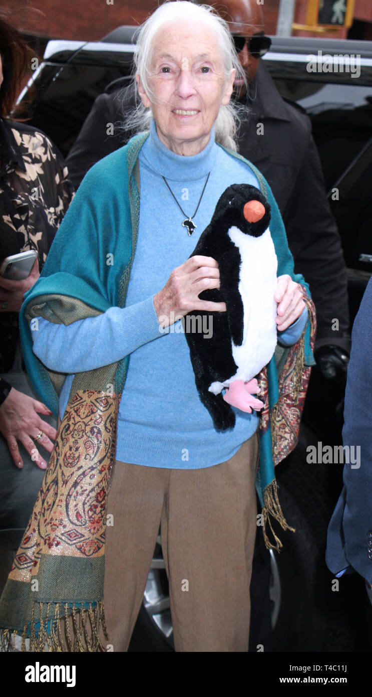 Jane goodall 2019 new york hi-res stock photography and images - Alamy