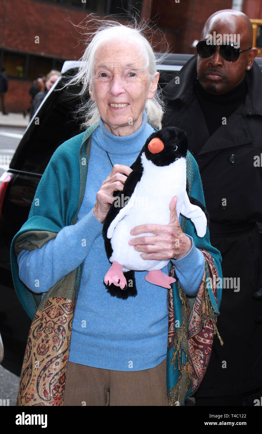 Jane goodall 2019 new york hi-res stock photography and images - Alamy