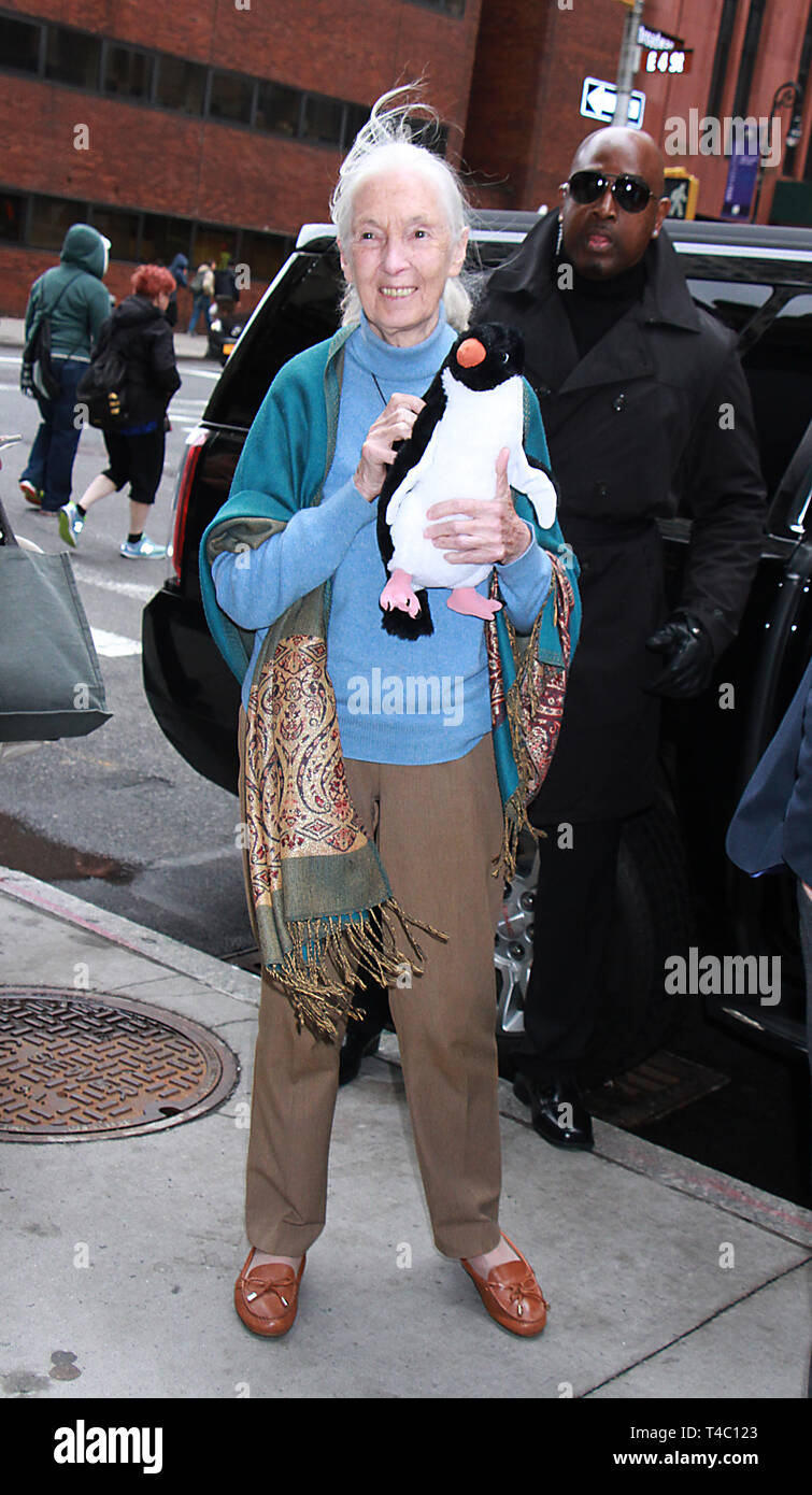 Jane goodall 2019 new york hi-res stock photography and images - Alamy