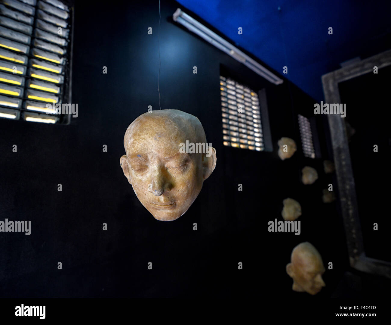 A Three dimension artwork on Human face & life cycle seen on display ...