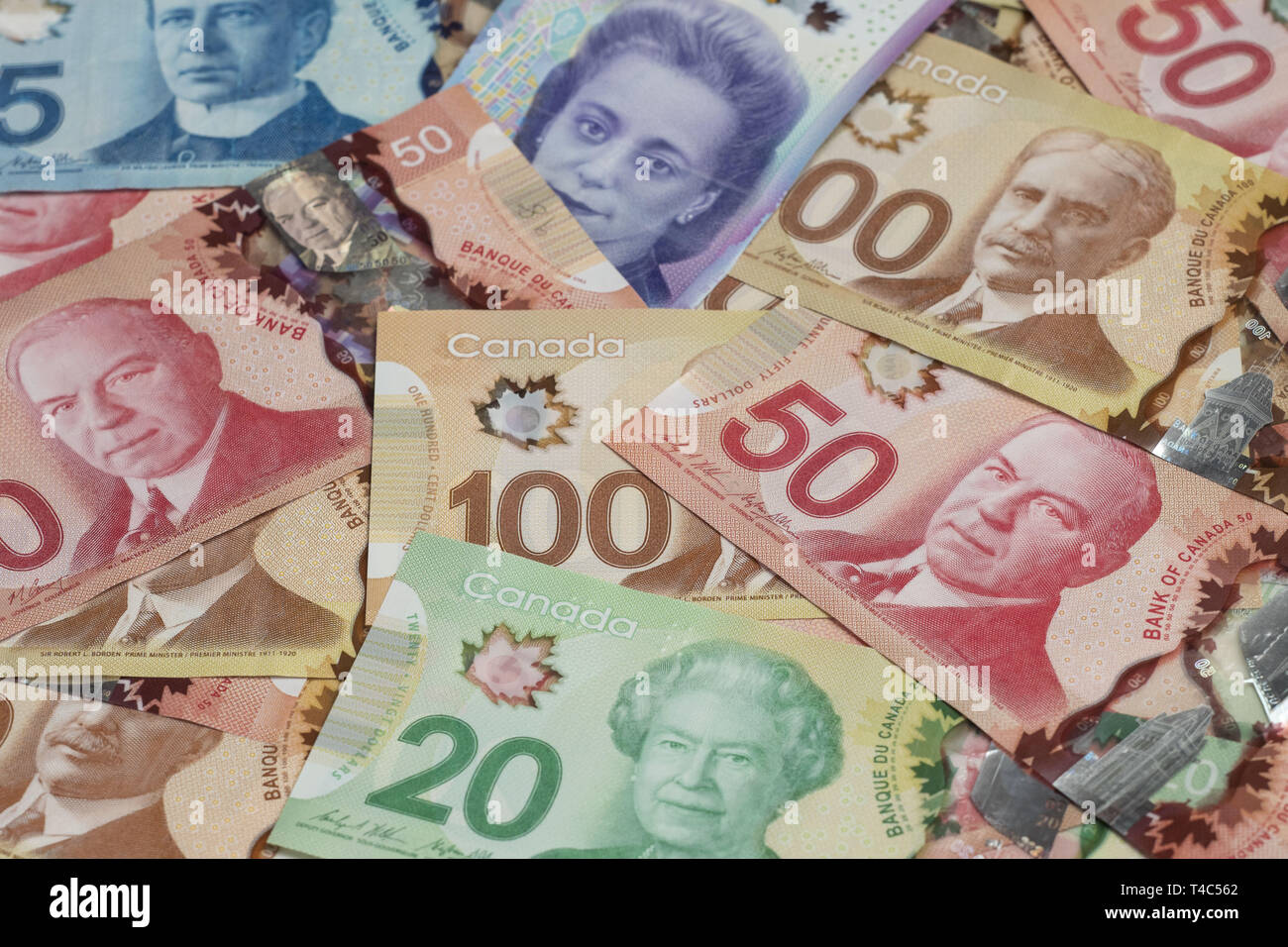 Canadian Money Plastic 5