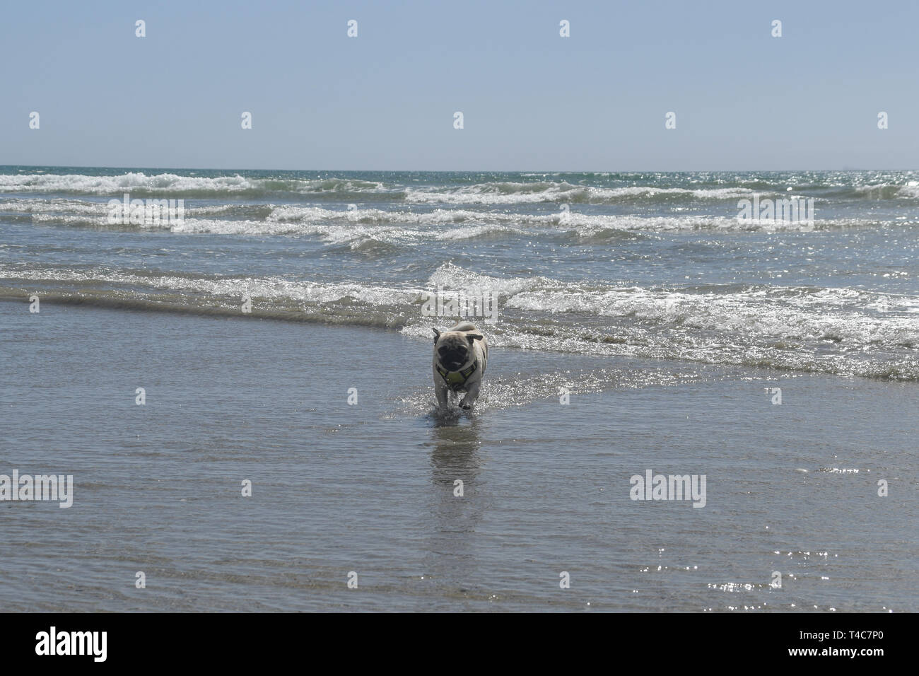 Longrock, Cornwall, UK. 16th Apr, 2019. UK Weather. Hot and sunny on ...