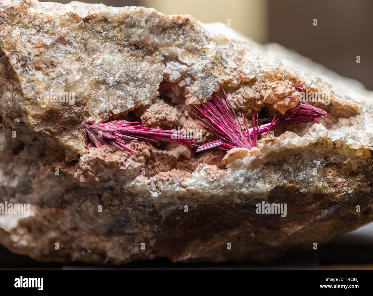 Erythrin hi-res stock photography and images - Alamy