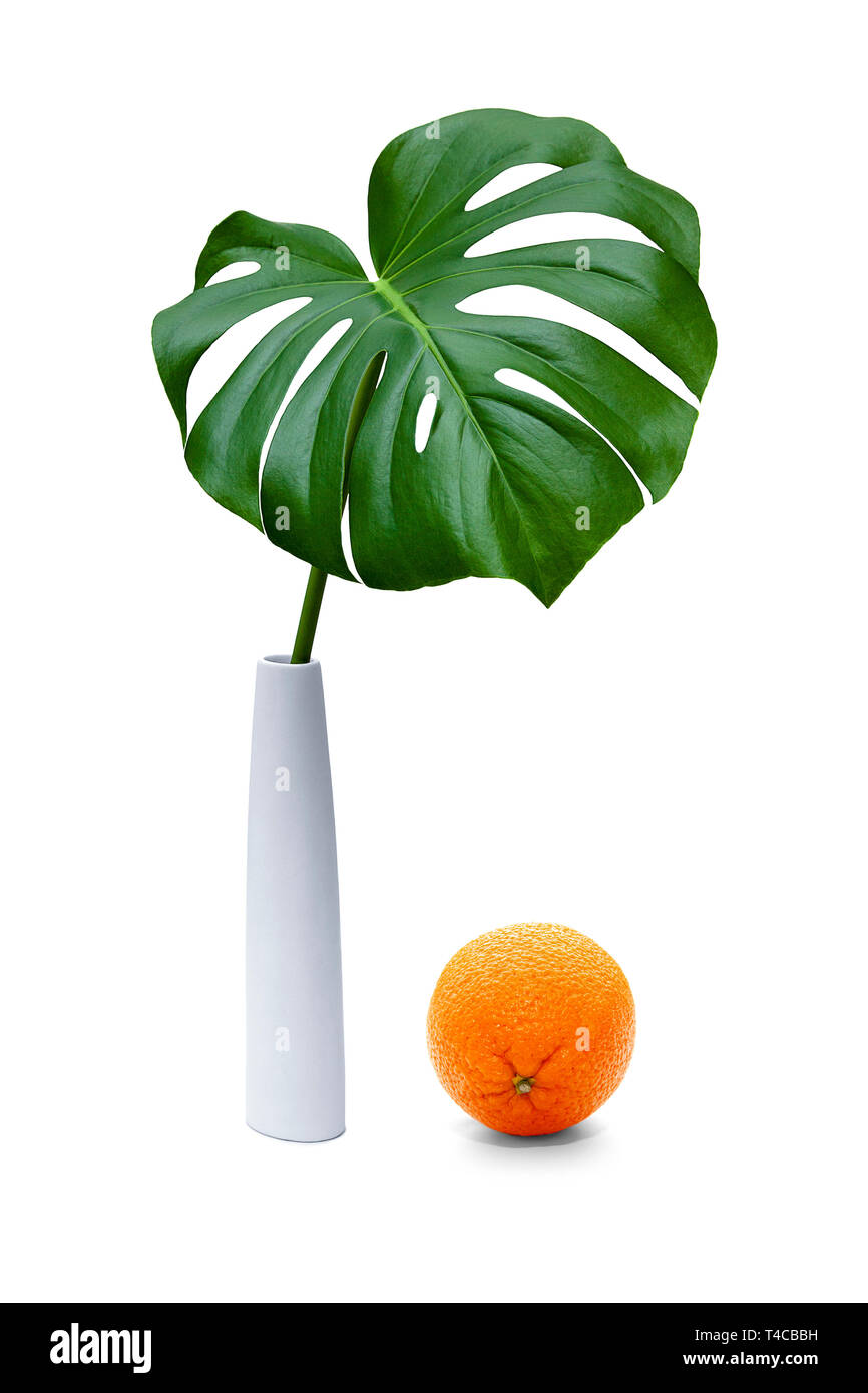 Palm leaf in vase hi-res stock photography and images - Alamy