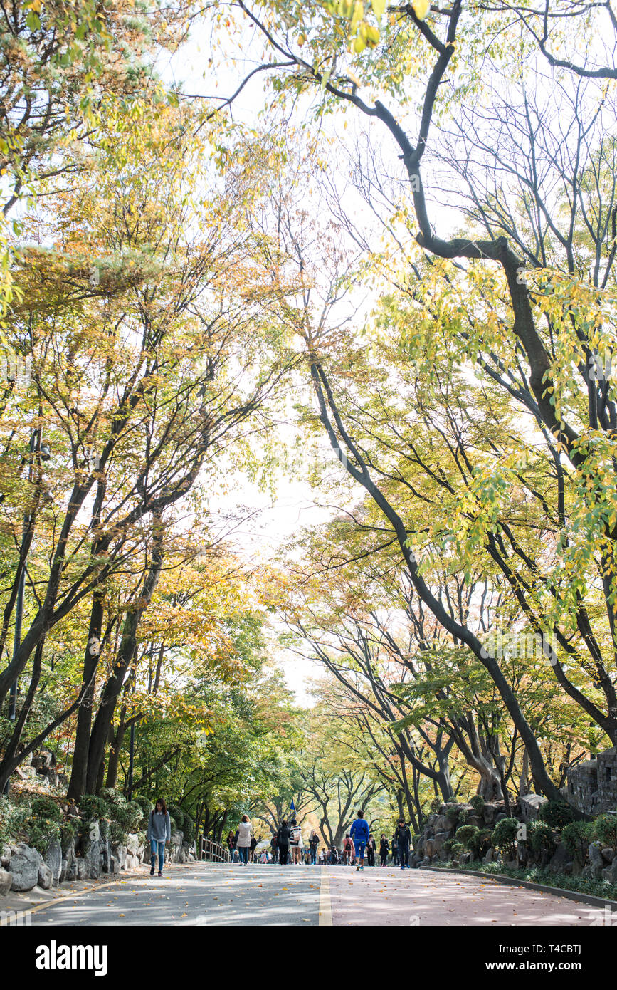 Autumn namsan tower in seoul hi-res stock photography and images - Alamy
