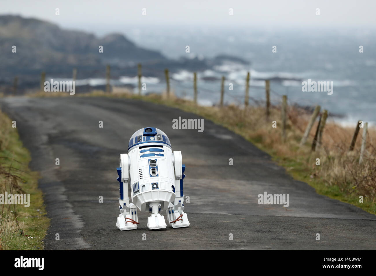 A replica of an R2D2 droid built by Jack Hanna and his father Adrian ...