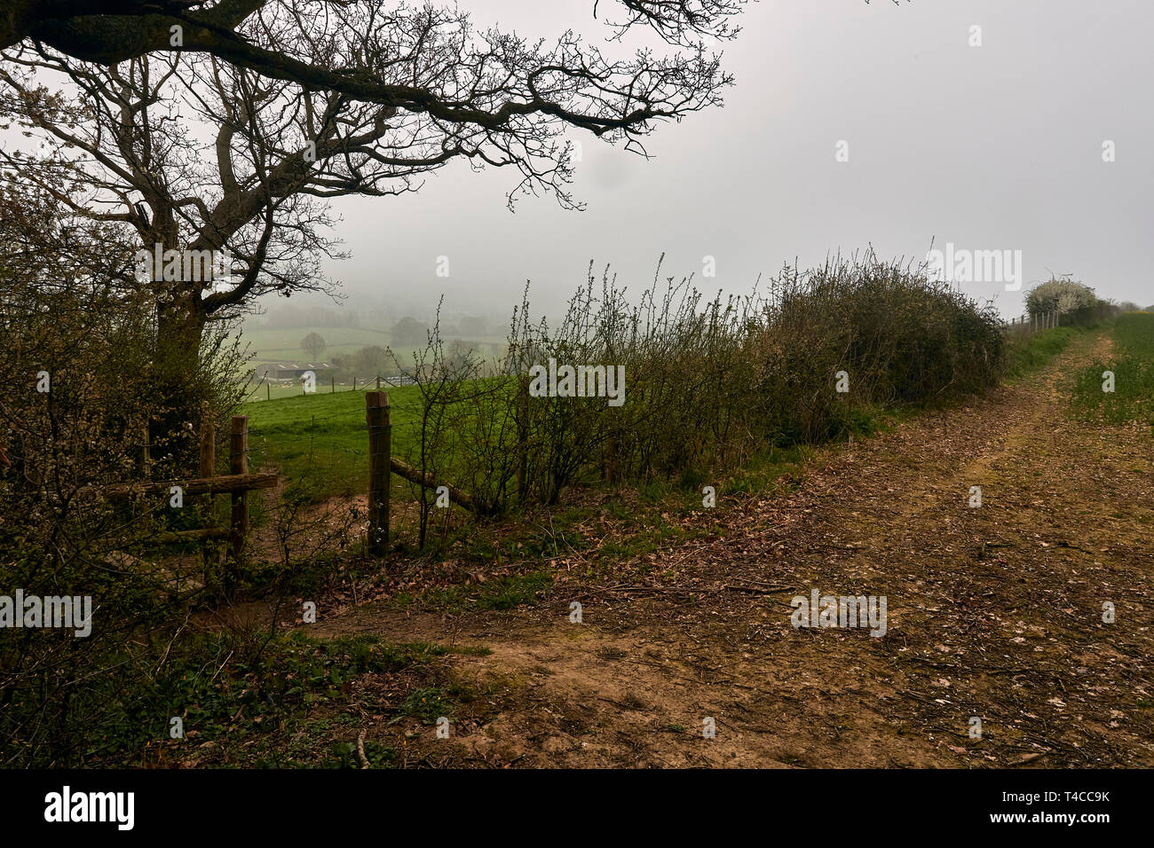 Walking path in the spring mist across Kent farmland, England, United ...
