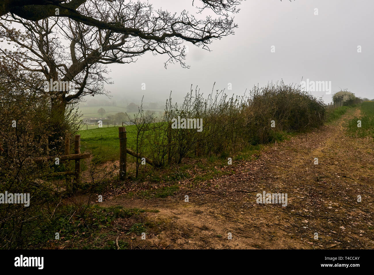 Kent countryside spring mist hi-res stock photography and images - Alamy