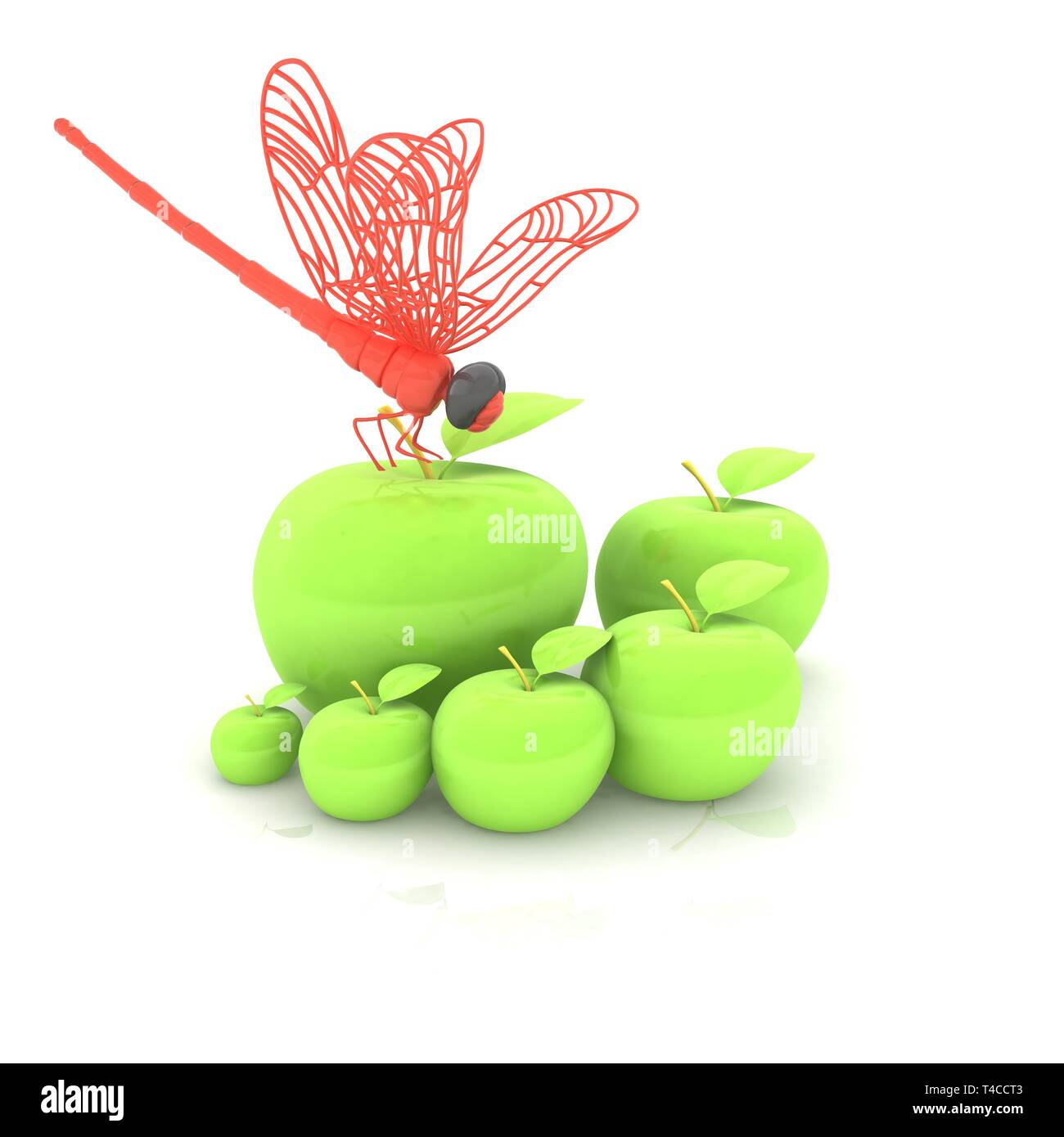 Dragonfly diet hi-res stock photography and images - Alamy