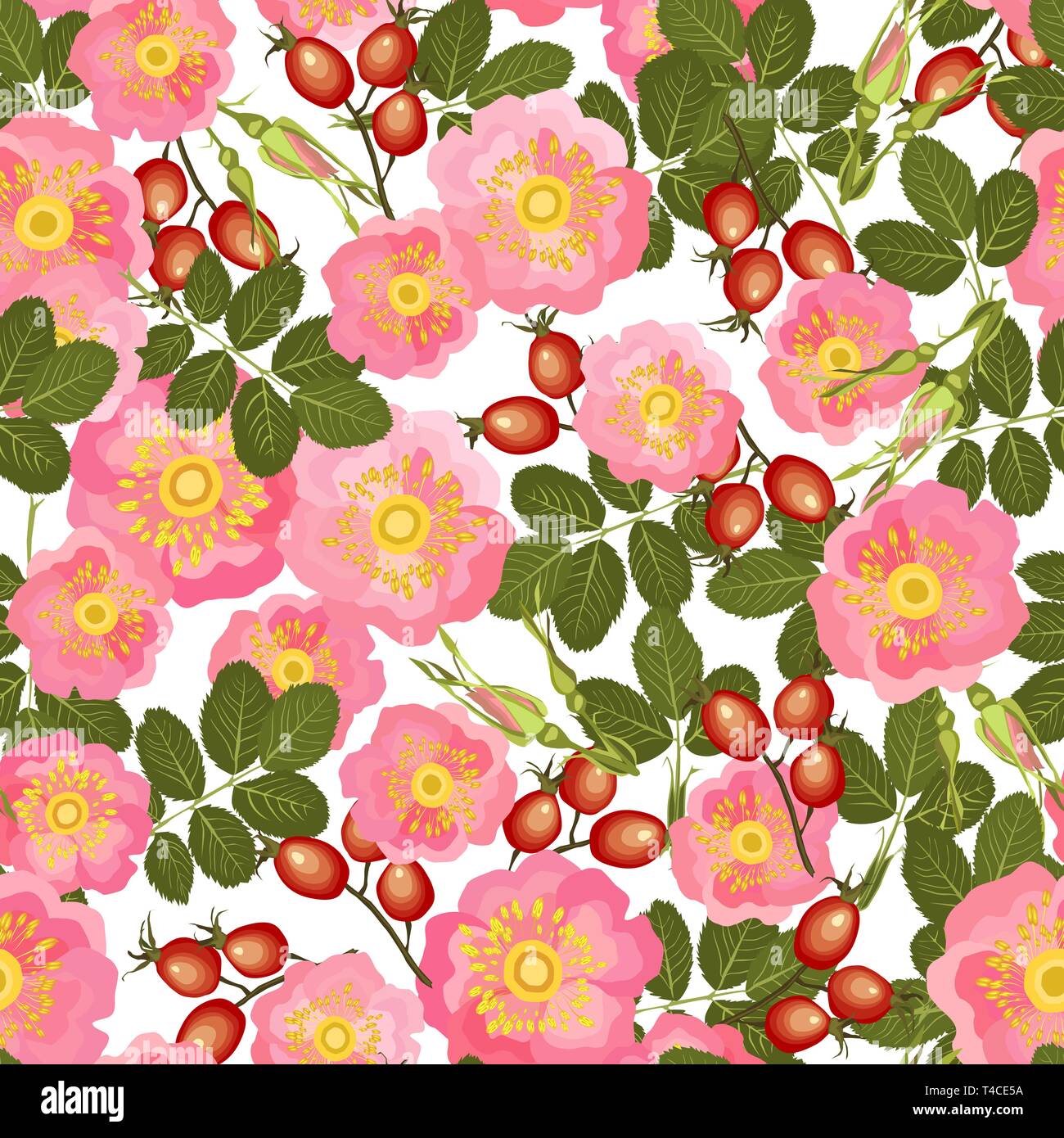 Briar seamless pattern on white background. Vector illustration of hip ...