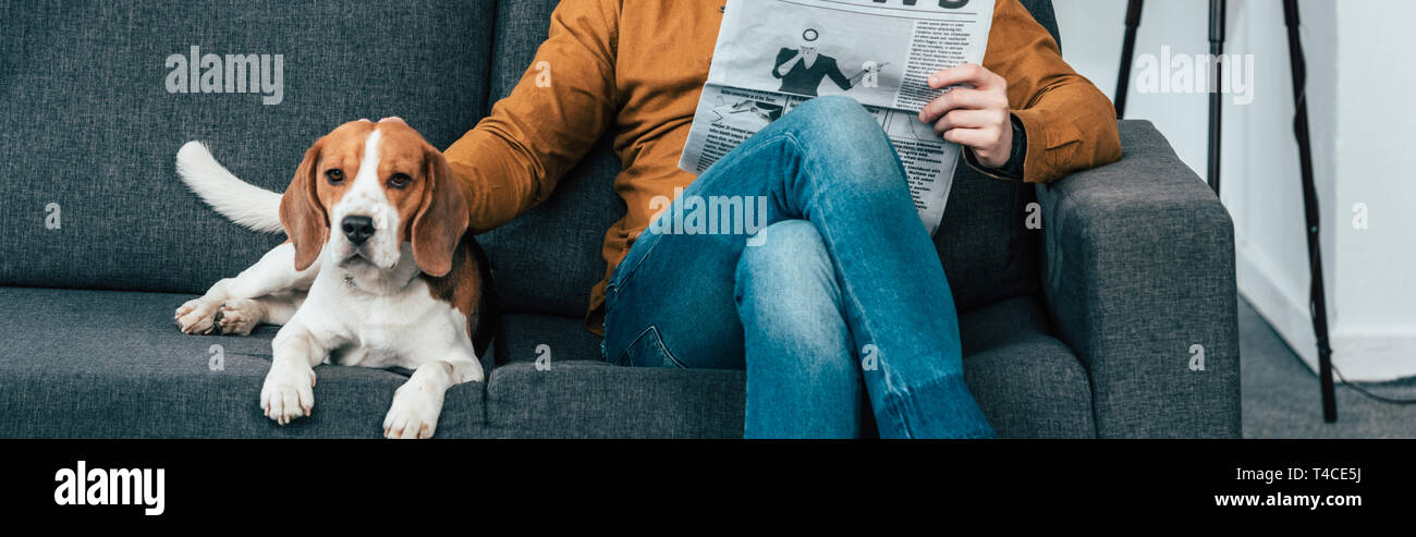 Man stroking dog sofa hi-res stock photography and images - Alamy