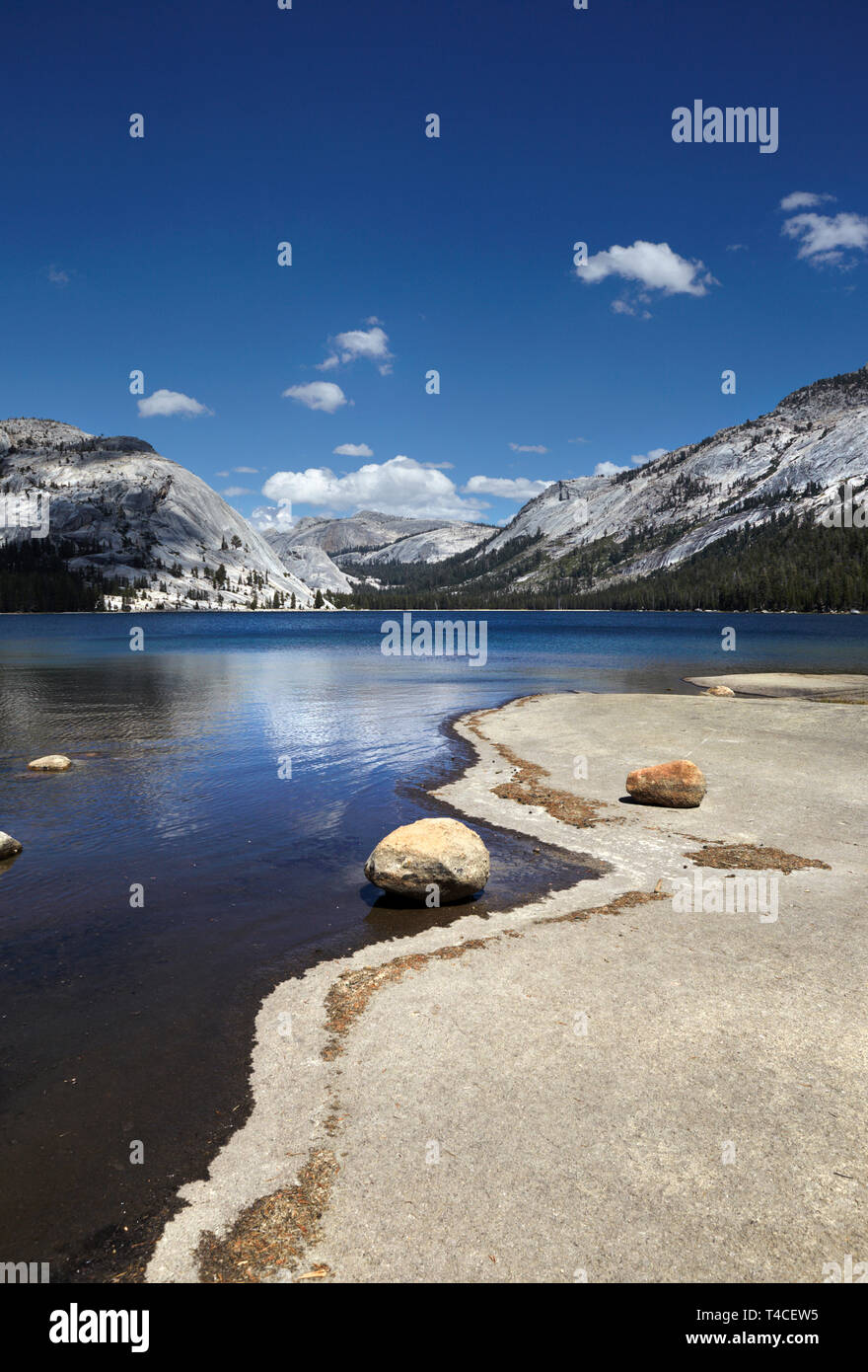 Tenaya Lake, Yosemite, America Stock Photo - Alamy