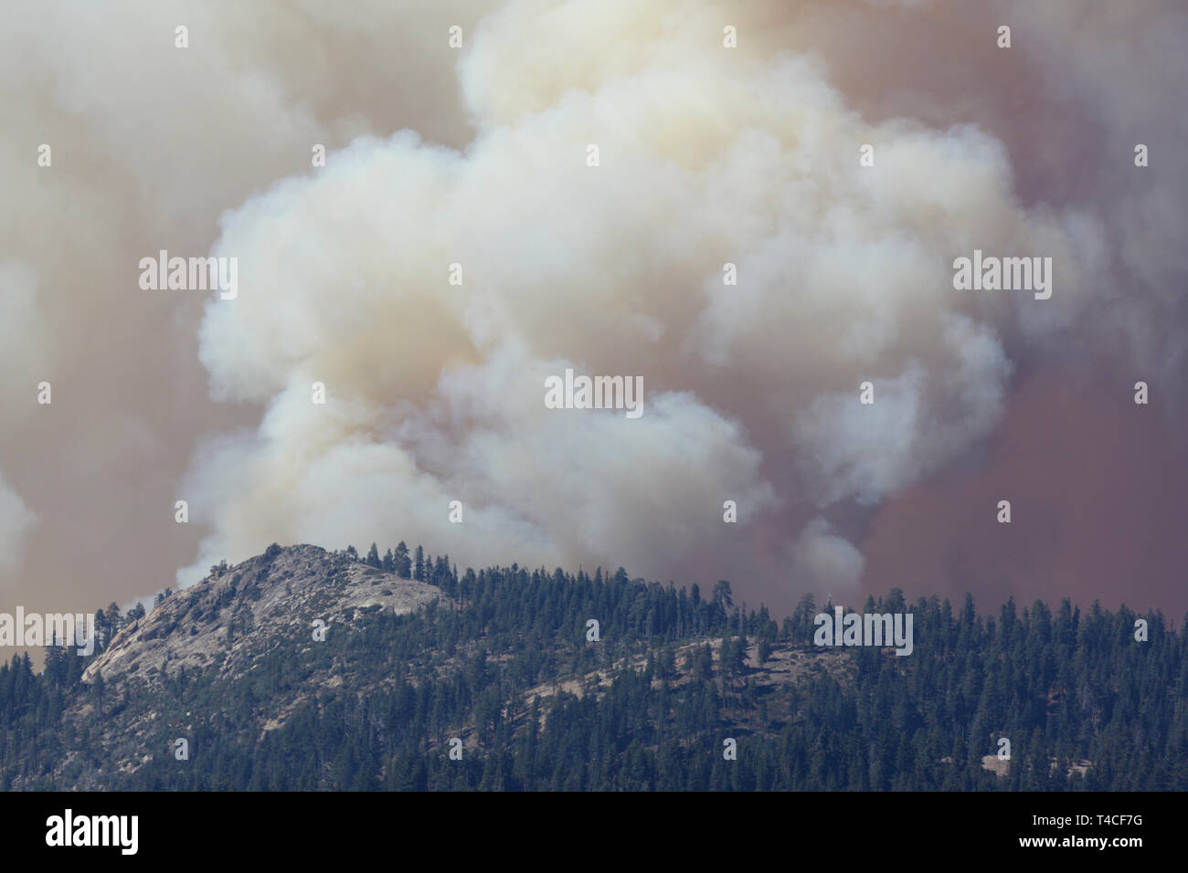 Fire buck hi-res stock photography and images - Alamy