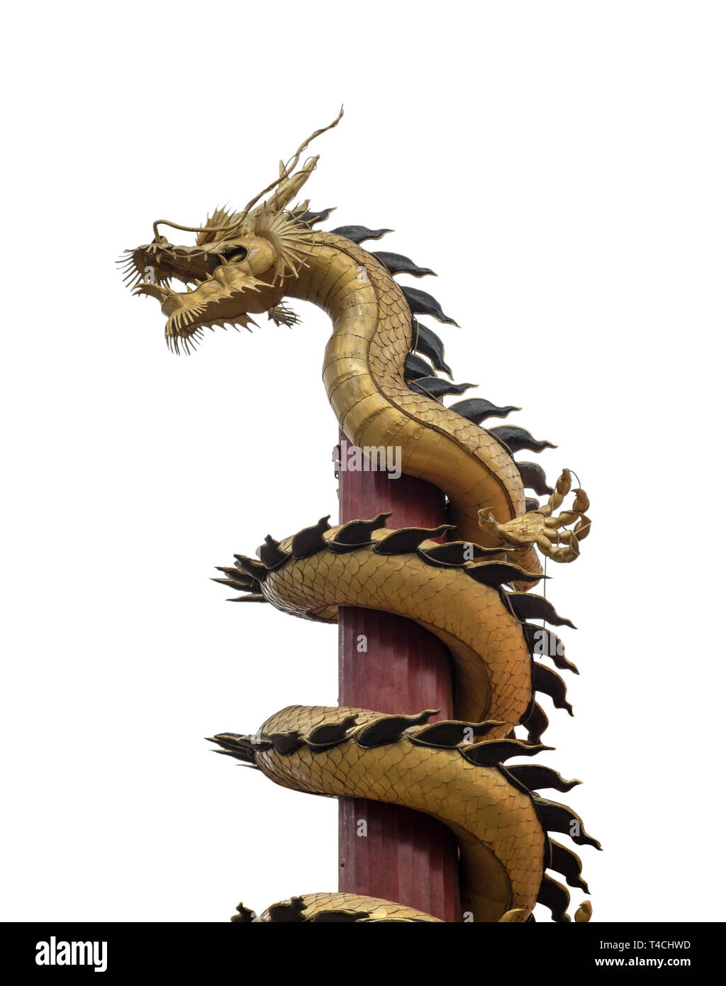 Golden dragon wrapped around wooden pole on white background Stock ...