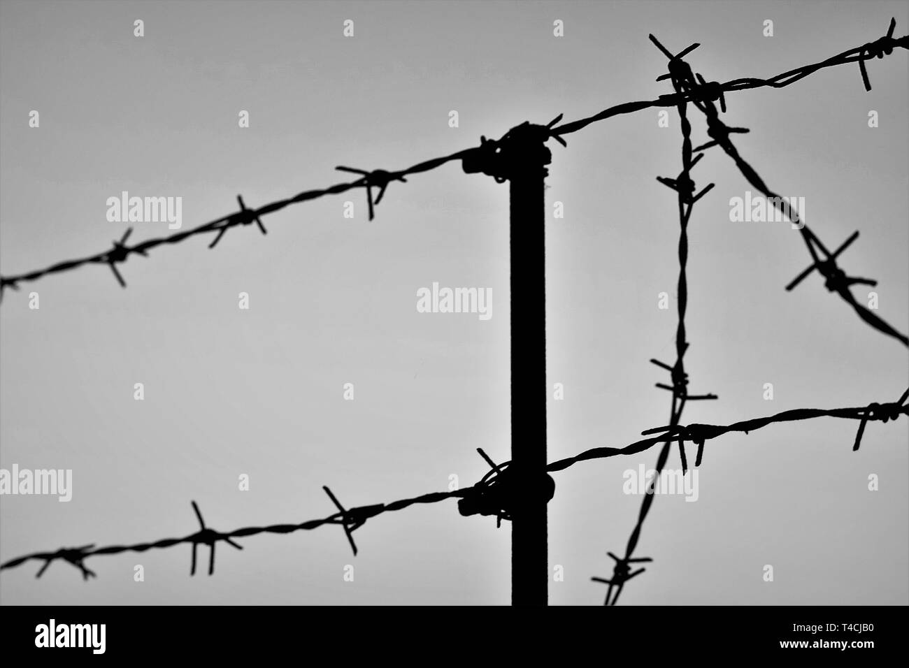 black silhouette of barbed wire fence, BW photo Stock Photo - Alamy