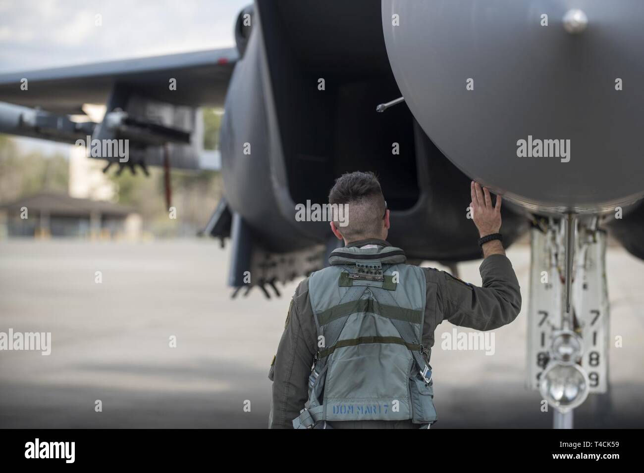 334 fighter squadron hi-res stock photography and images - Alamy