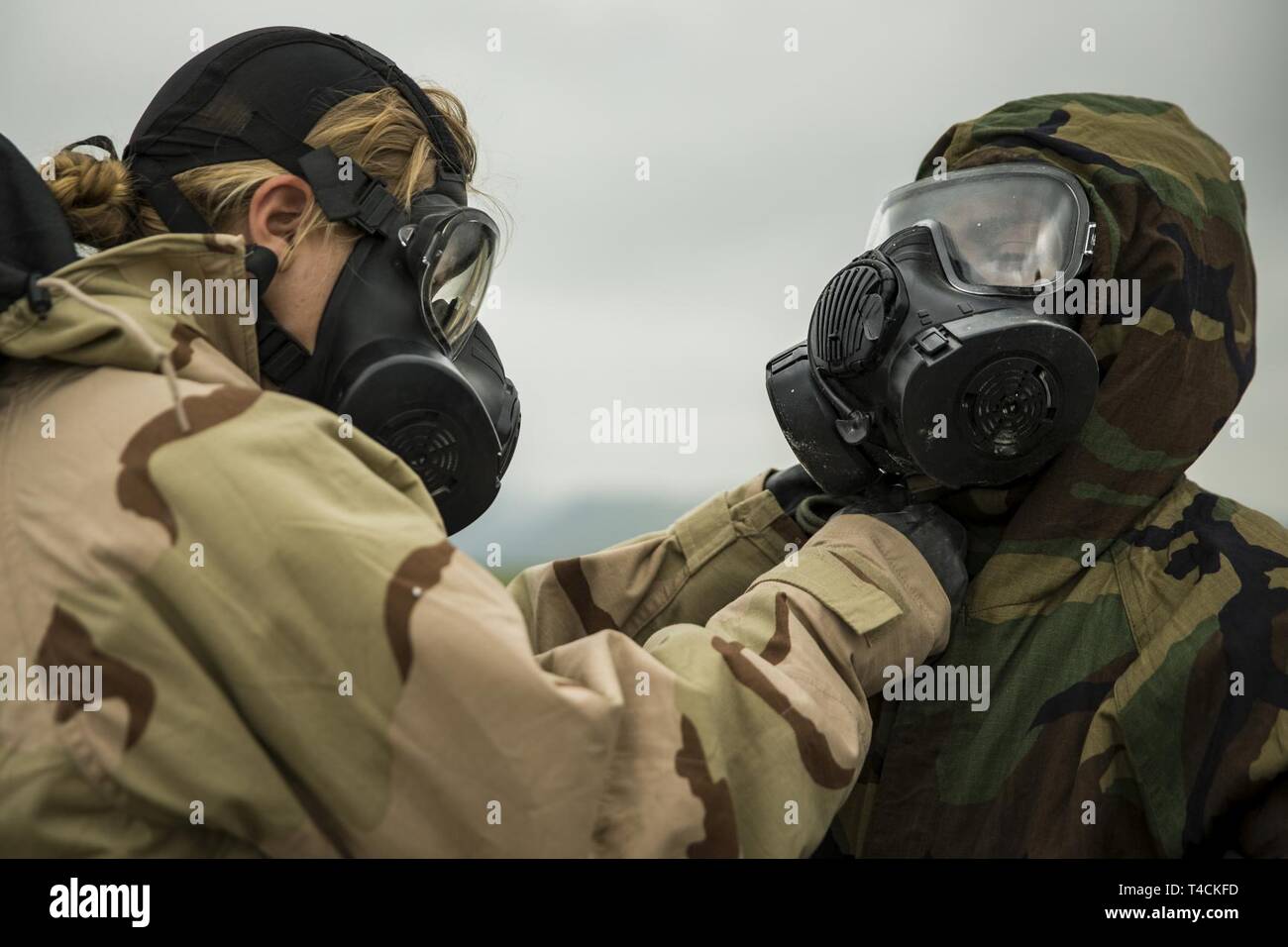 U.S. Marines with 1st Transportation Support Battalion, 1st Marine ...