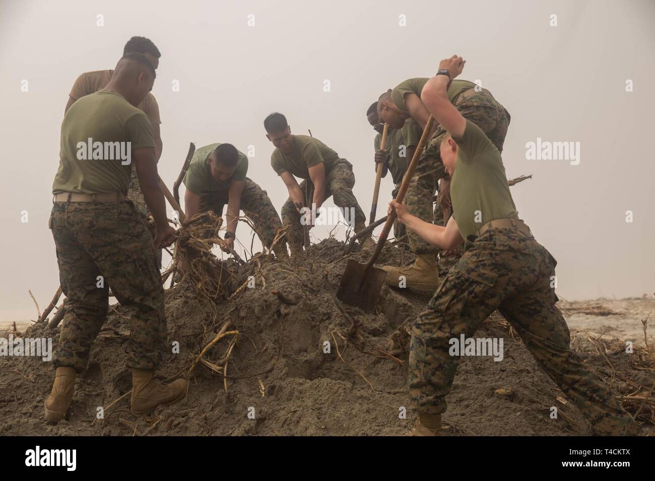 Assault amphibian school battalion hi-res stock photography and images ...