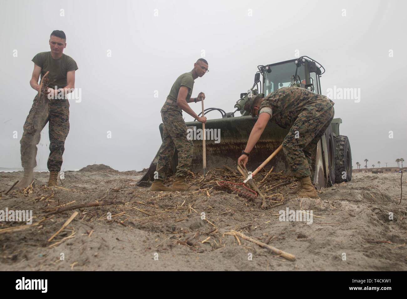 Assault amphibian school battalion hi-res stock photography and images ...