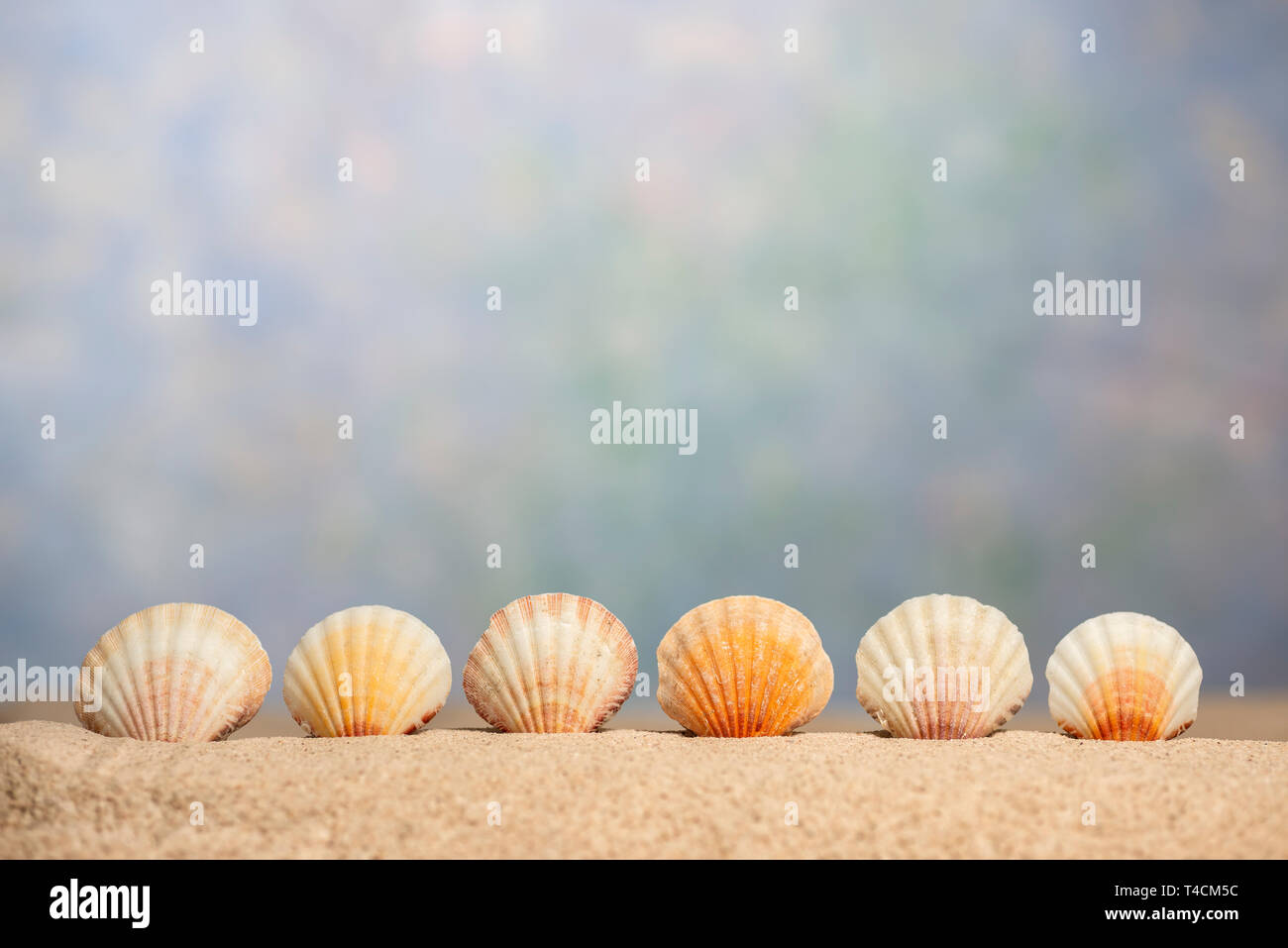 Sky border hi-res stock photography and images - Alamy