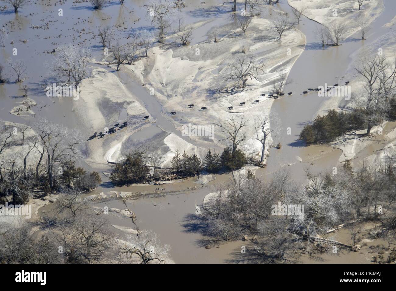 Ch 47 chinook isolated hi-res stock photography and images - Alamy