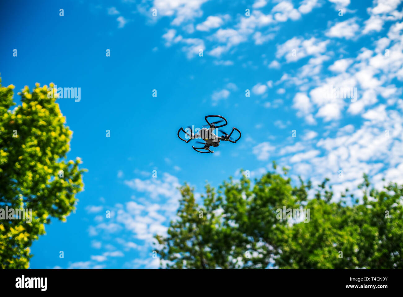 Flying drone over the tree Stock Photo - Alamy