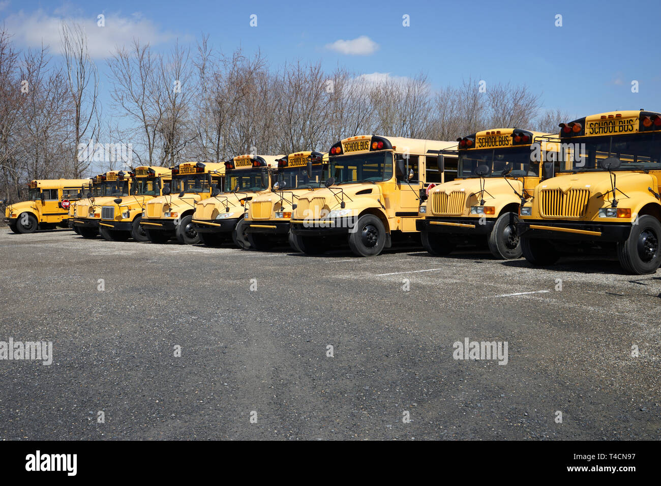 many yellow school buses Stock Photo - Alamy