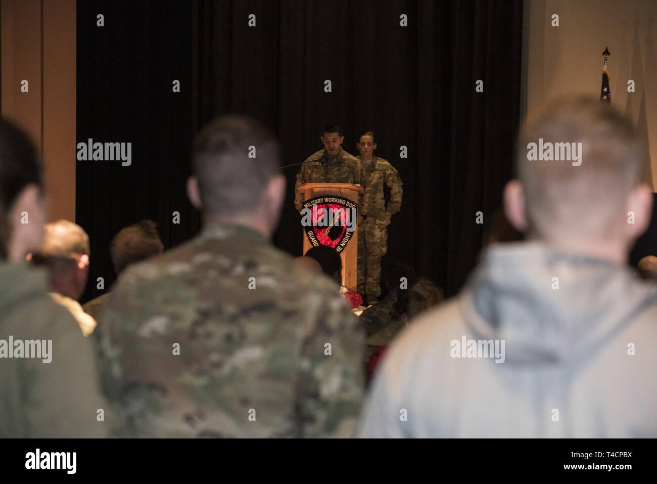 Military dog funeral hi-res stock photography and images - Alamy