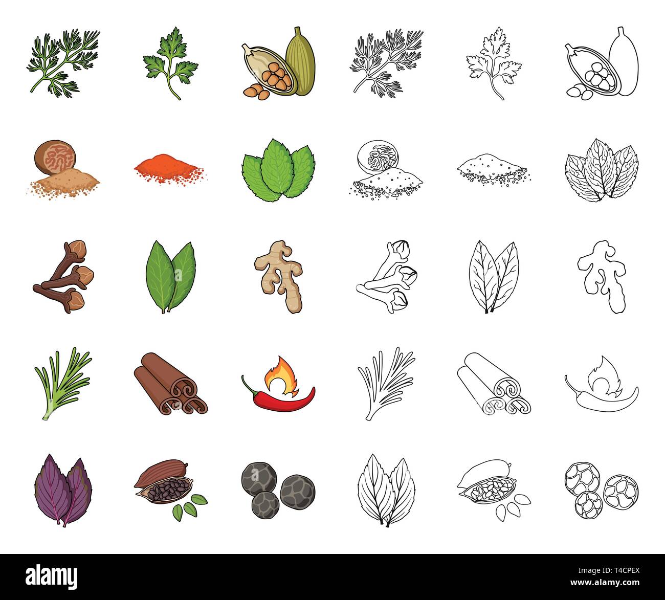 Herb and spices cartoon,outline icons in set collection for design ...