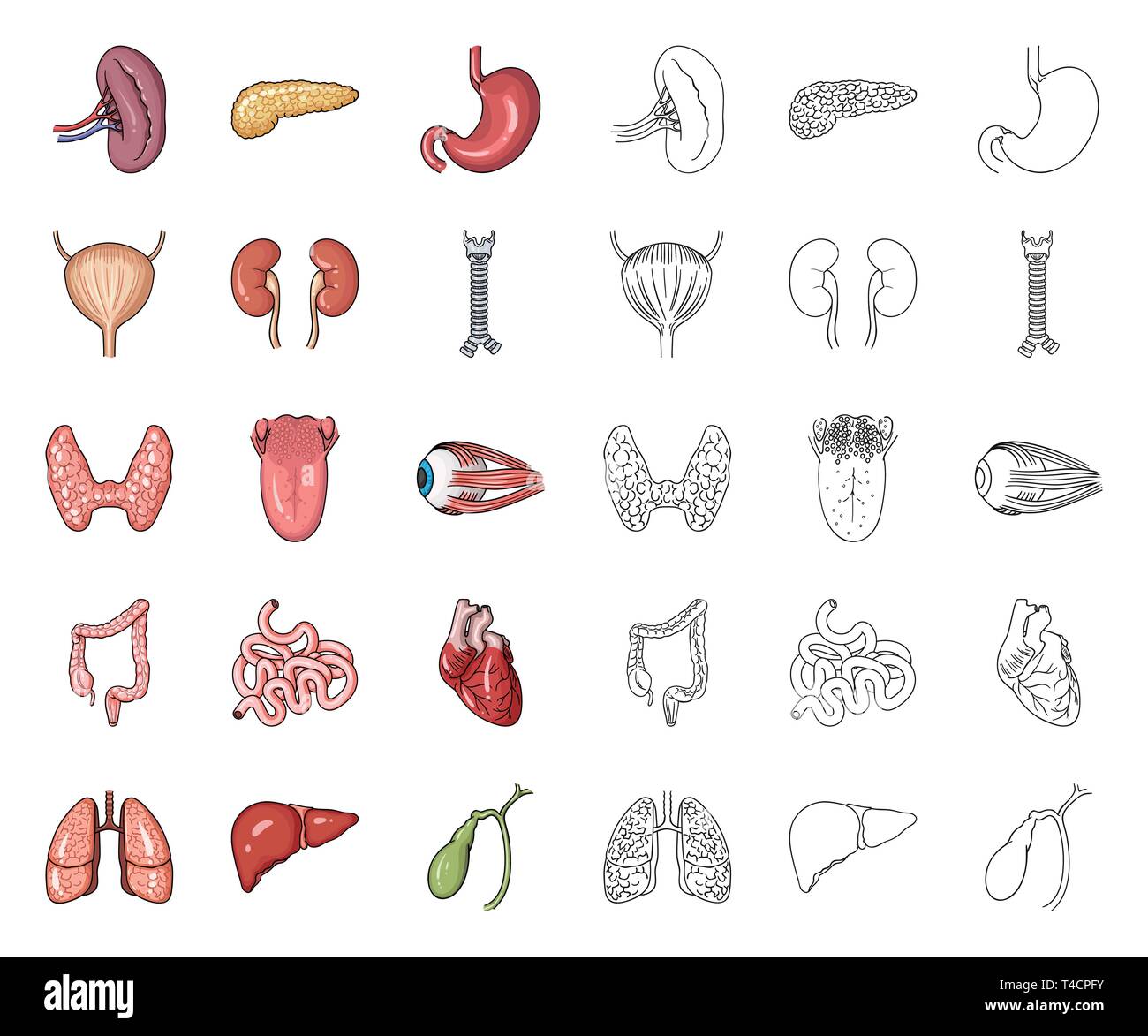 Human organs cartoon,outline icons in set collection for design ...
