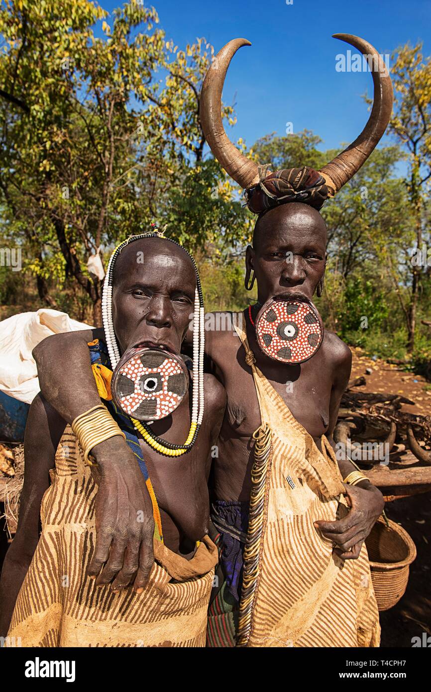 Two Women With Large Lip Plates And Horns As Headdress Hi res Stock Photography And Images Alamy two-women-with-large-lip-plates-and-horns-as-headdress-hi-res-stock-photography-and-images-alamy