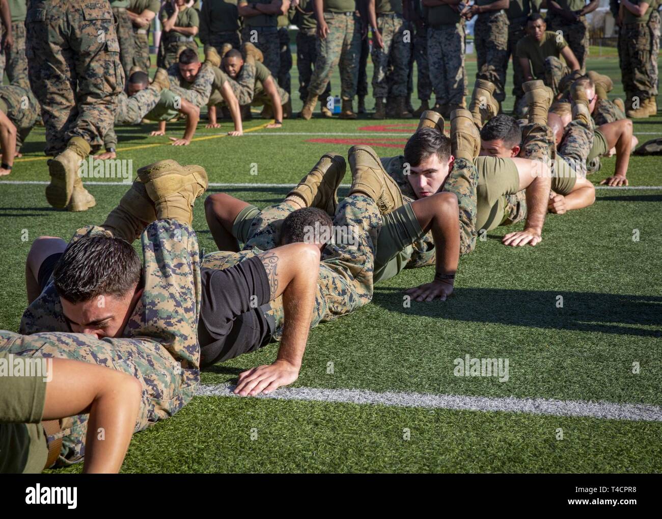 Marines Training Push Ups