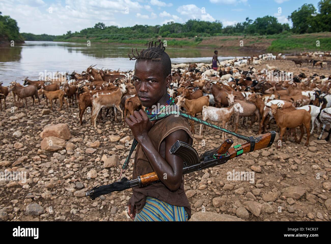 Goatherd of the Hamer tribe with Kalashnikov, guarded goat herd at the ...