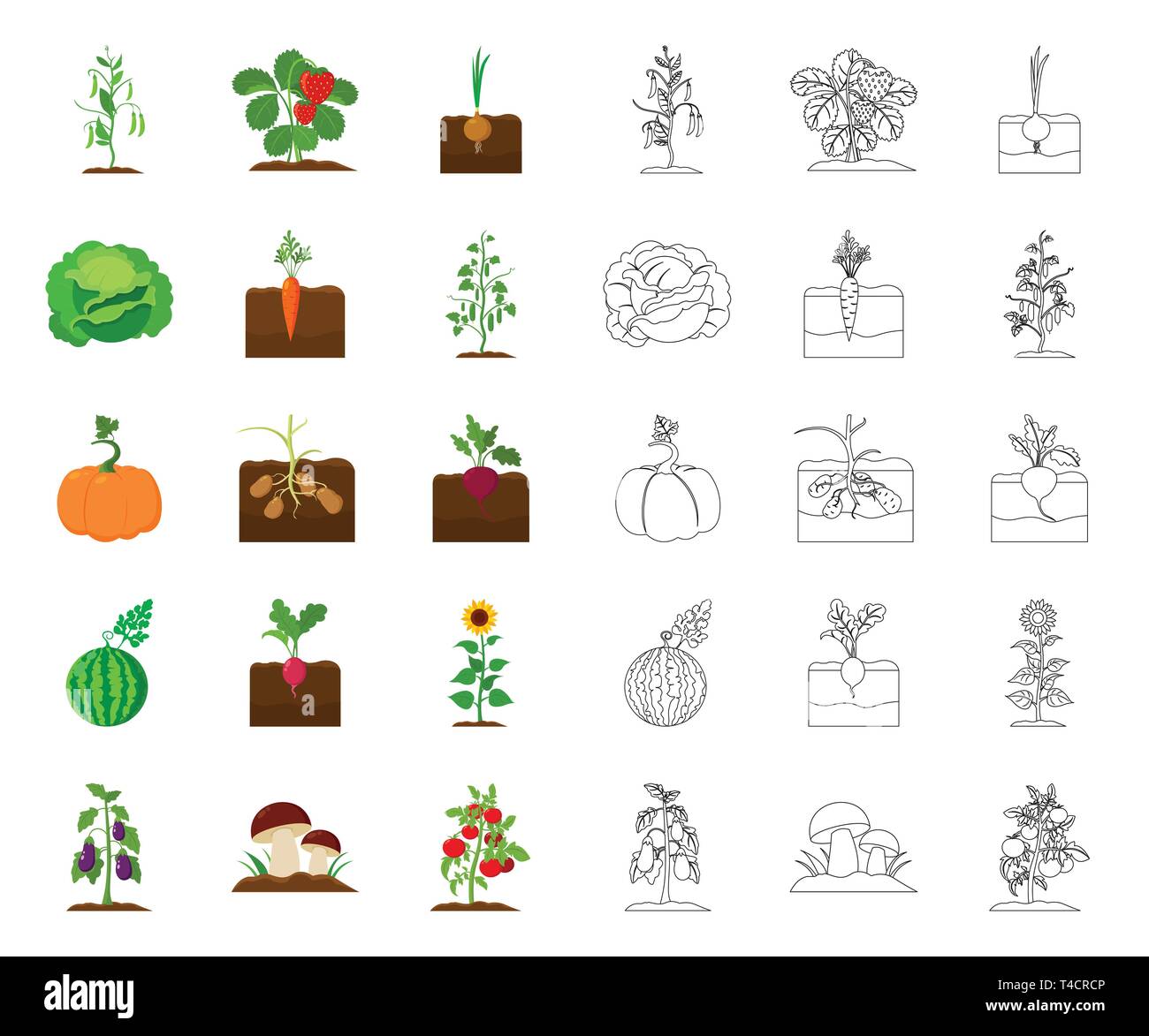 Plant, vegetable cartoon,outline icons in set collection for design ...