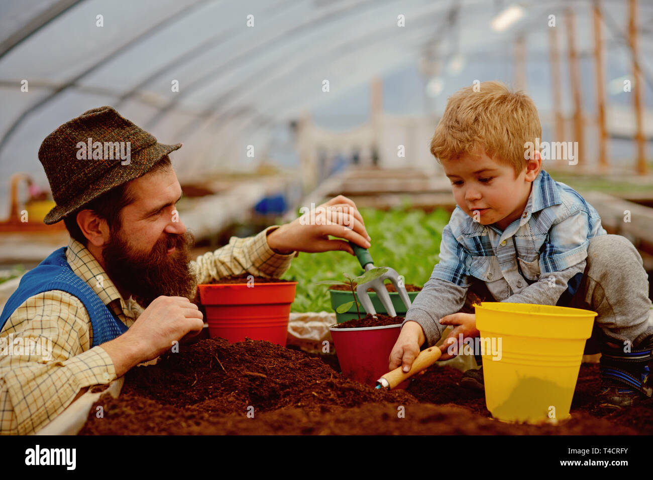 conditions of garden. father and son make good conditions of garden for ...