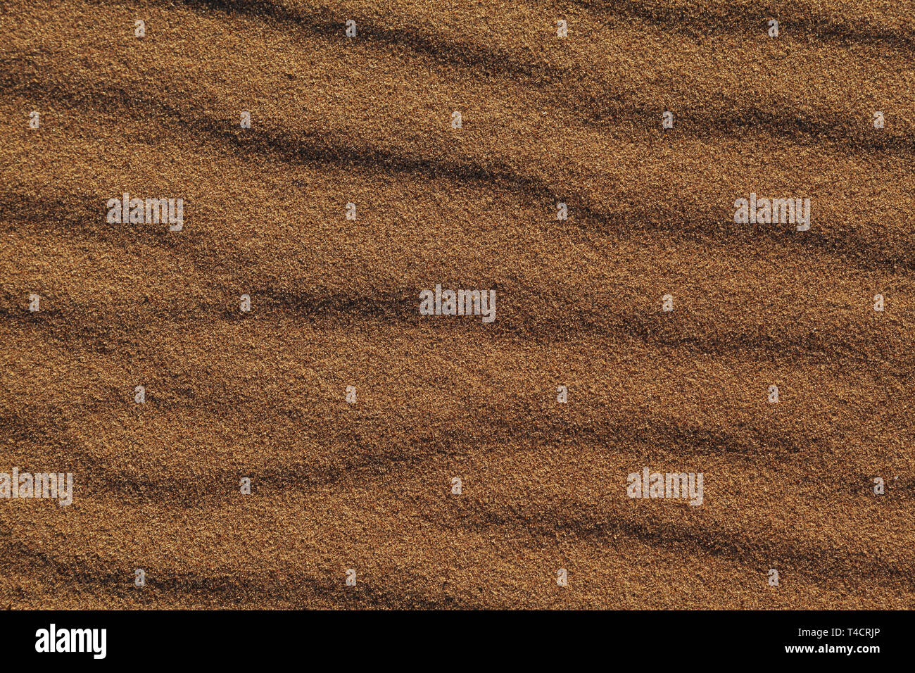 Texture sandy surface with the ripples formed by wind sand. Sand dunes ...