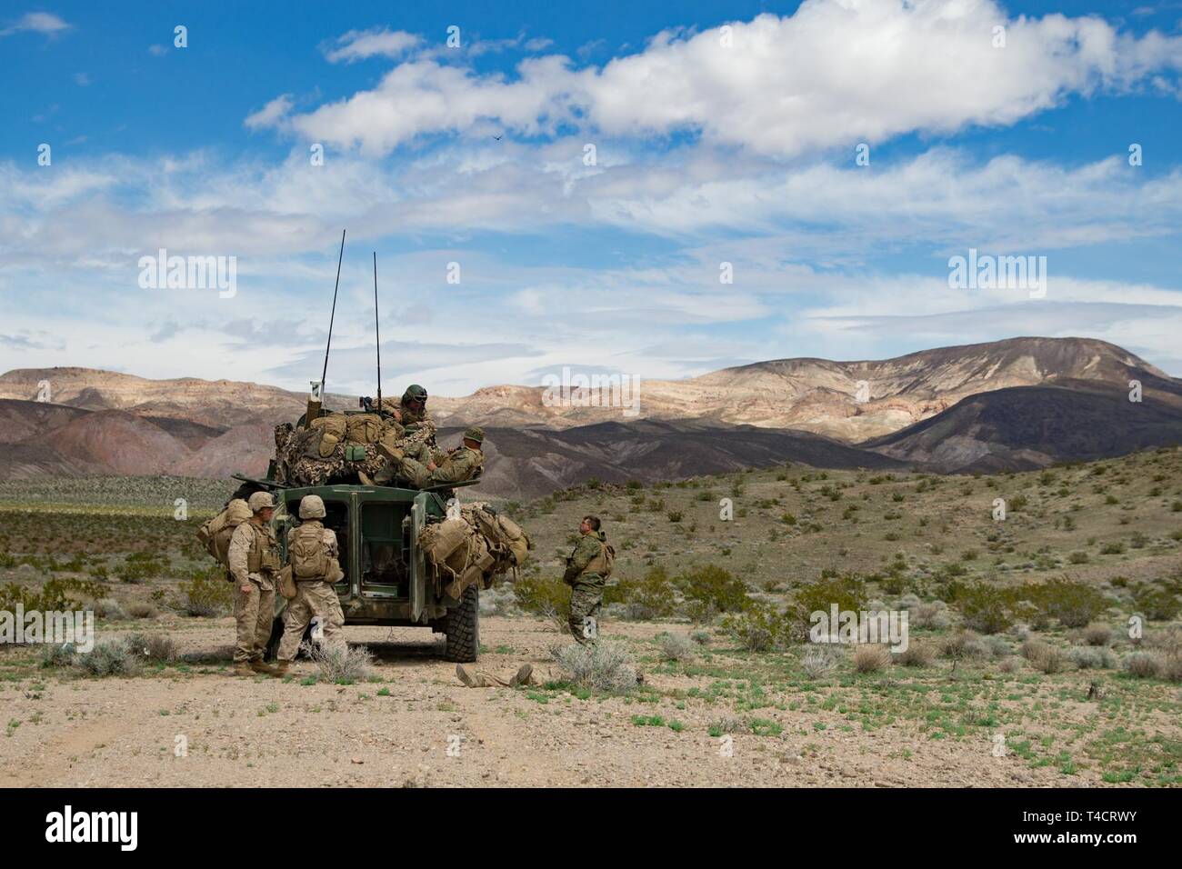 U.S. Marines with 3rd Light Armored Reconnaissance (LAR) Battalion, 1st ...